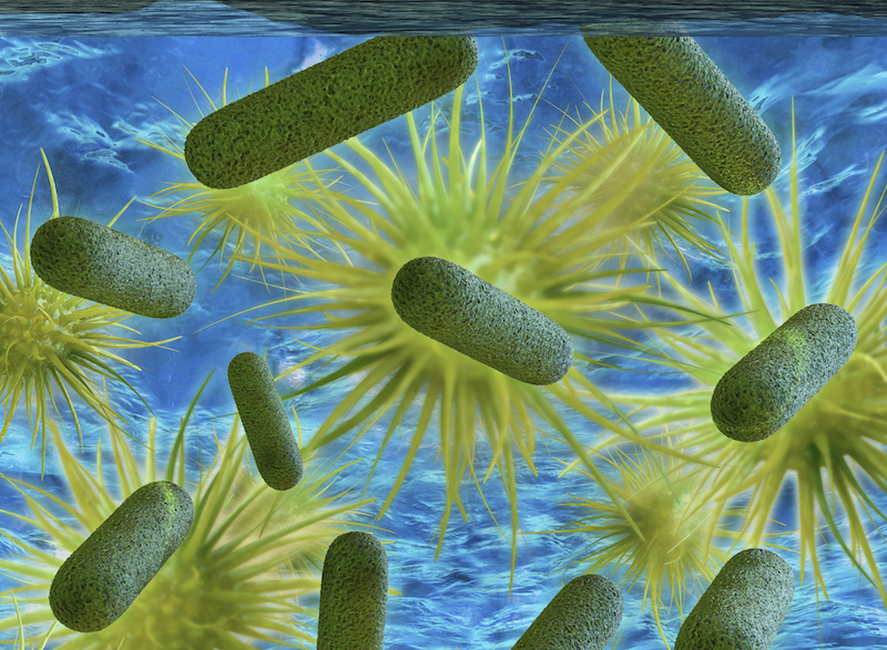 Legionellen – Wie gefährdet sind Mieter? | ZUHAUSE.net